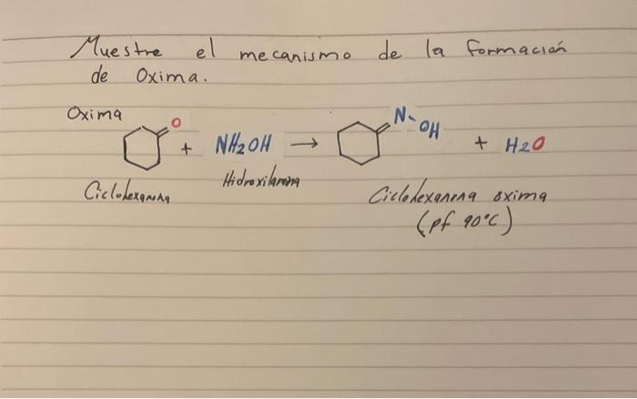 Solved Muestre el mecanismo de la formación de Oxima. Oxima | Chegg.com