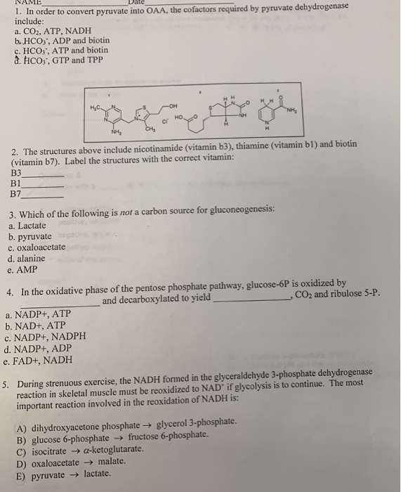Solved NAME Date 1. In order to convert pyruvate into OAA, | Chegg.com