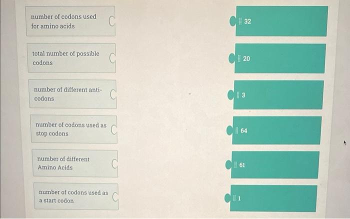Solved \begin{tabular}{l} number of codons used \\ for amino | Chegg.com