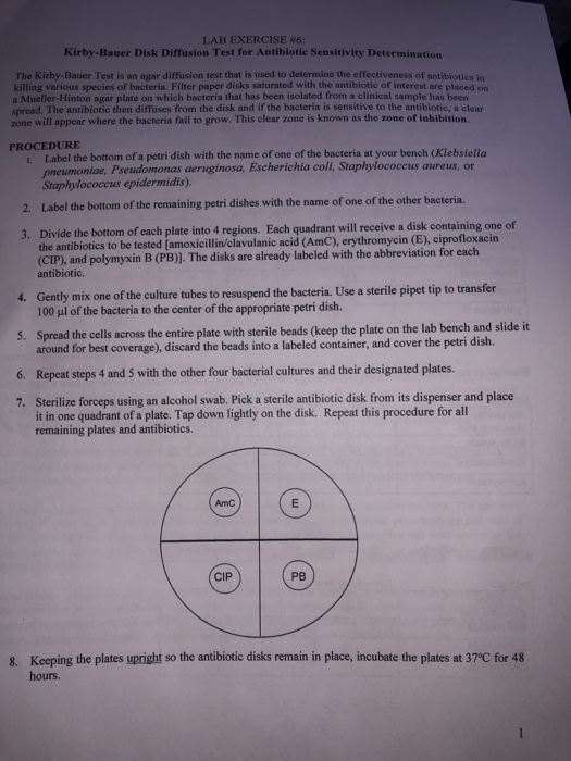 Solved: LAB EXERCISE #6: Kirby-Bauer Disk Diffusion Test F... | Chegg.com
