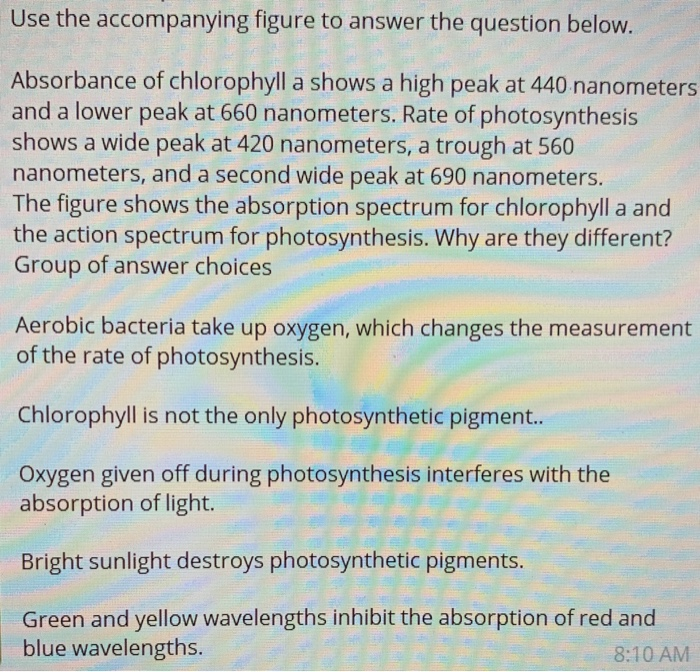 Solved The somatic cells of a privet shrub each contain 46 | Chegg.com