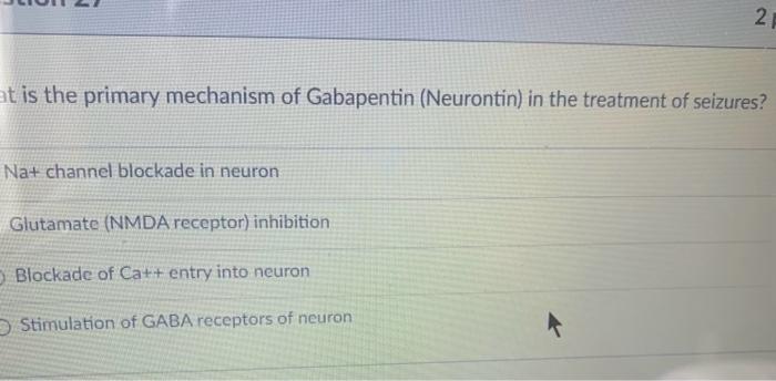 at is the primary mechanism of Gabapentin (Neurontin) | Chegg.com