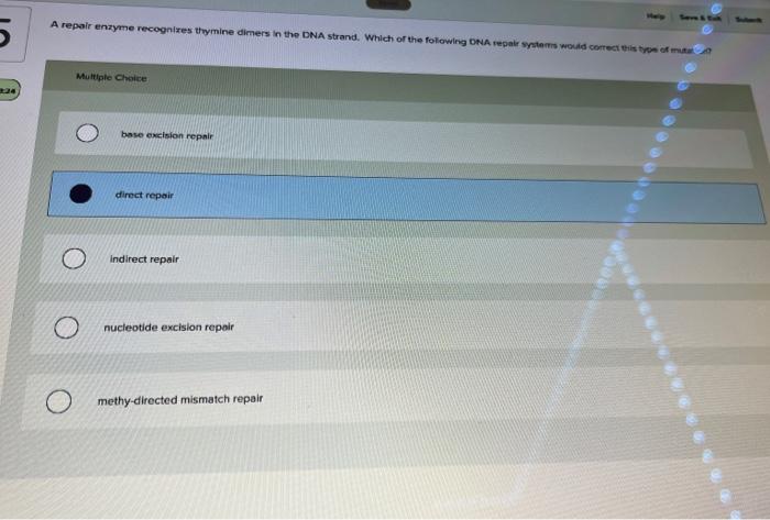 Solved Missense mutations occur when Multiple Choice the | Chegg.com