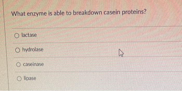 Solved During the Starch Hydrolysis test, you test for the | Chegg.com