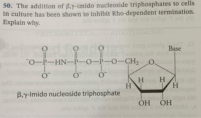 Solved 50. The addition of B,y-imido nucleoside | Chegg.com