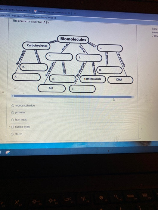 Solved + ses/32314/ques/184402/take questions/3055845 The | Chegg.com