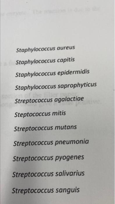 Solved Staphylococcus aureus Staphylococcus capitis | Chegg.com