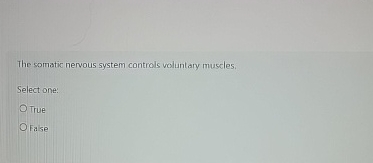 Solved The somatic nervous system controls voluntary | Chegg.com