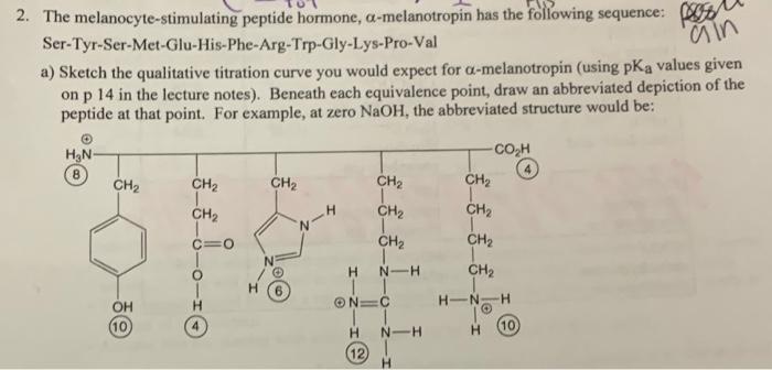 Solved an 2. The melanocyte-stimulating peptide hormone, | Chegg.com