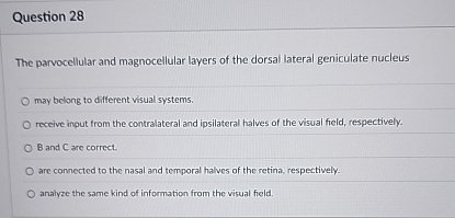 Solved Question 28The parvocellular and magnocellular layers | Chegg.com