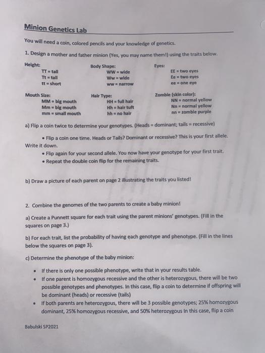 Solved Minion Genetics Lab You will need a coin, colored | Chegg.com