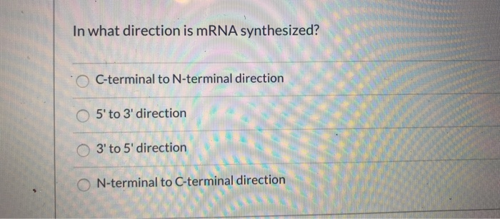 Solved In what direction is mRNA synthesized? - 'O | Chegg.com