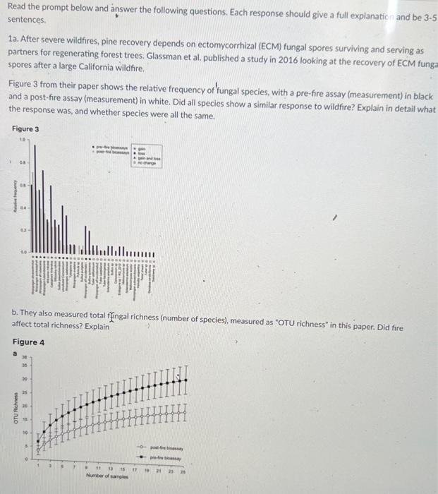 Solved Read the prompt below and answer the following | Chegg.com
