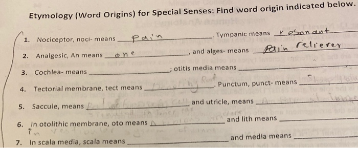 Solved Etymology (Word Origins) for Special Senses: Find | Chegg.com