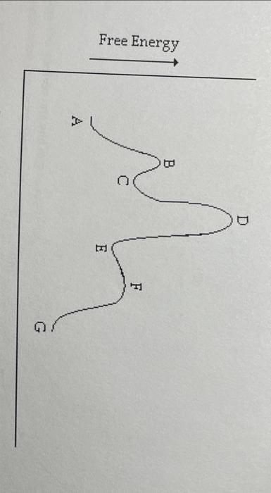 Solved which is faster, the forward reaction or the reverse | Chegg.com