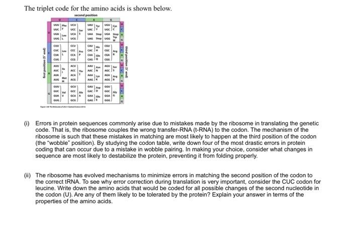 Solved The triplet code for the amino acids is shown below. | Chegg.com