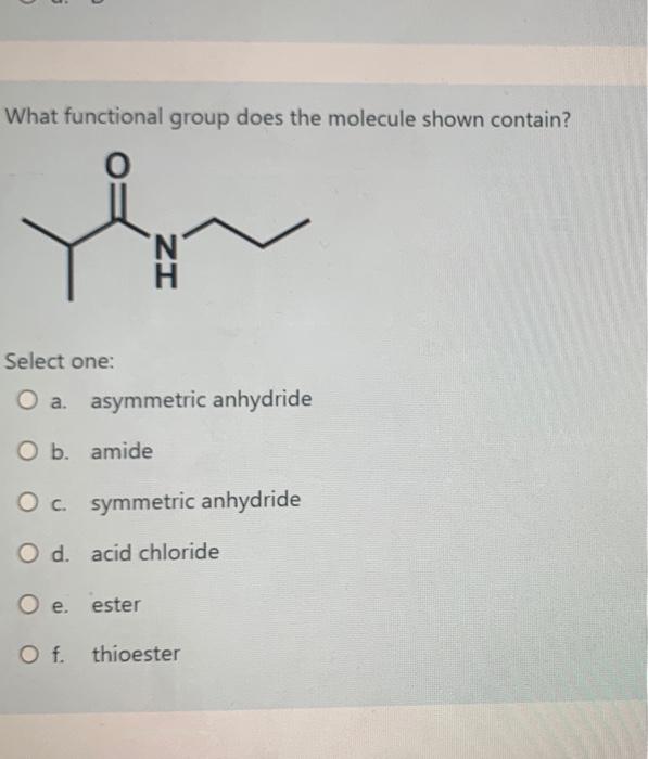 Solved What functional group does the molecule shown | Chegg.com