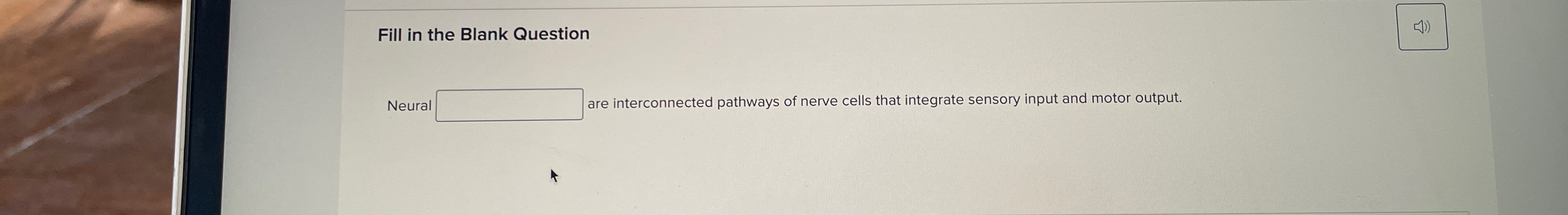 Solved Fill in the Blank Question†))Neural are | Chegg.com