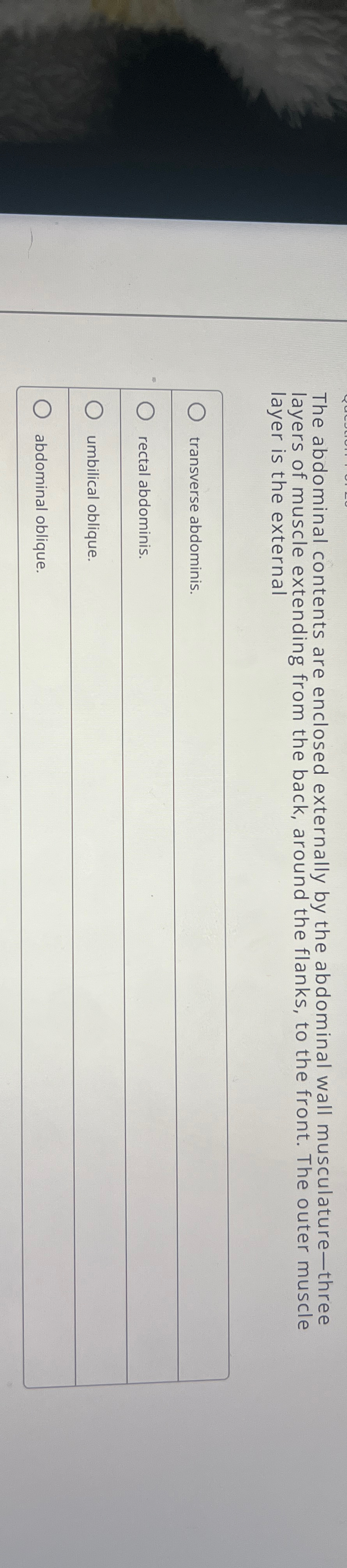 Solved The abdominal contents are enclosed externally by the | Chegg.com