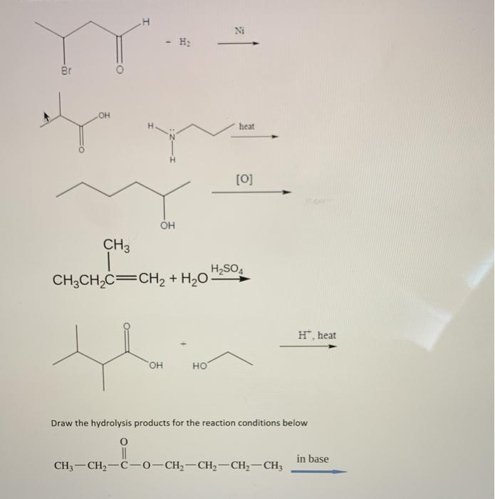 Solved H N # Br OH heat H [O] OH CH3 H2SO4 CH3CH2C=CH2 + H2O | Chegg.com