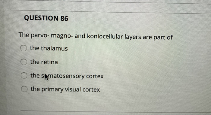 Solved QUESTION 86 The parvo-magno- and koniocellular layers | Chegg.com
