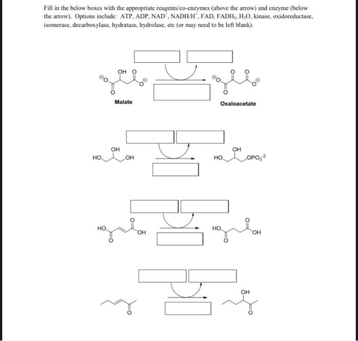 Solved Fill in the below boxes with the appropriate | Chegg.com
