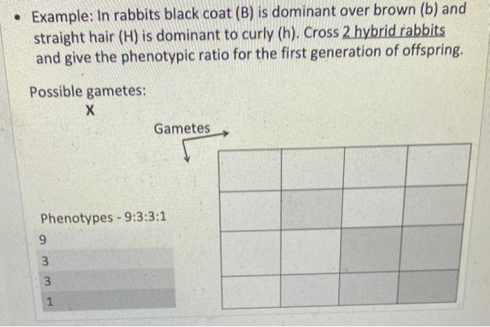 Solved Example: In rabbits black coat (B) is dominant over | Chegg.com