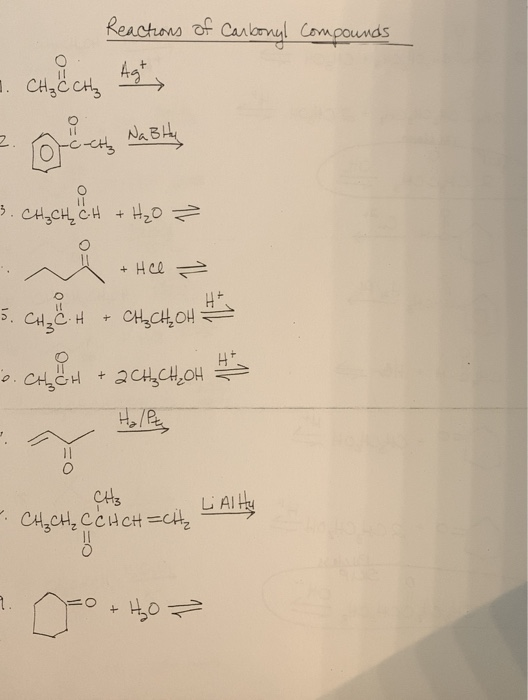 Solved Reactions of Carbonyl Compounds - Checity tego Na | Chegg.com