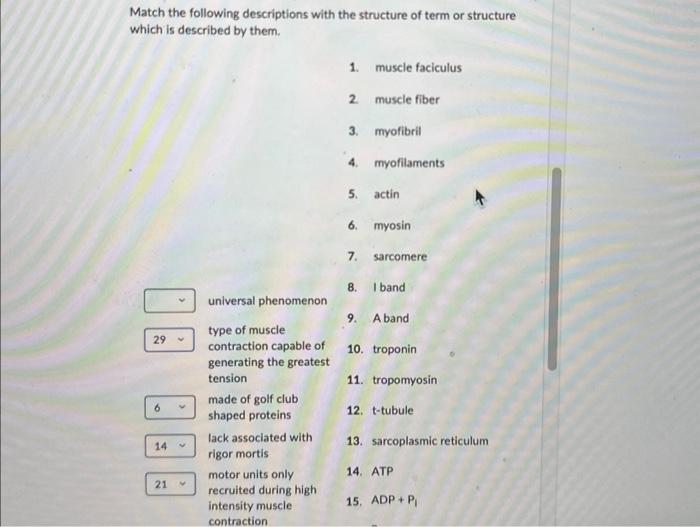 Solved Match the following descriptions with the structure | Chegg.com