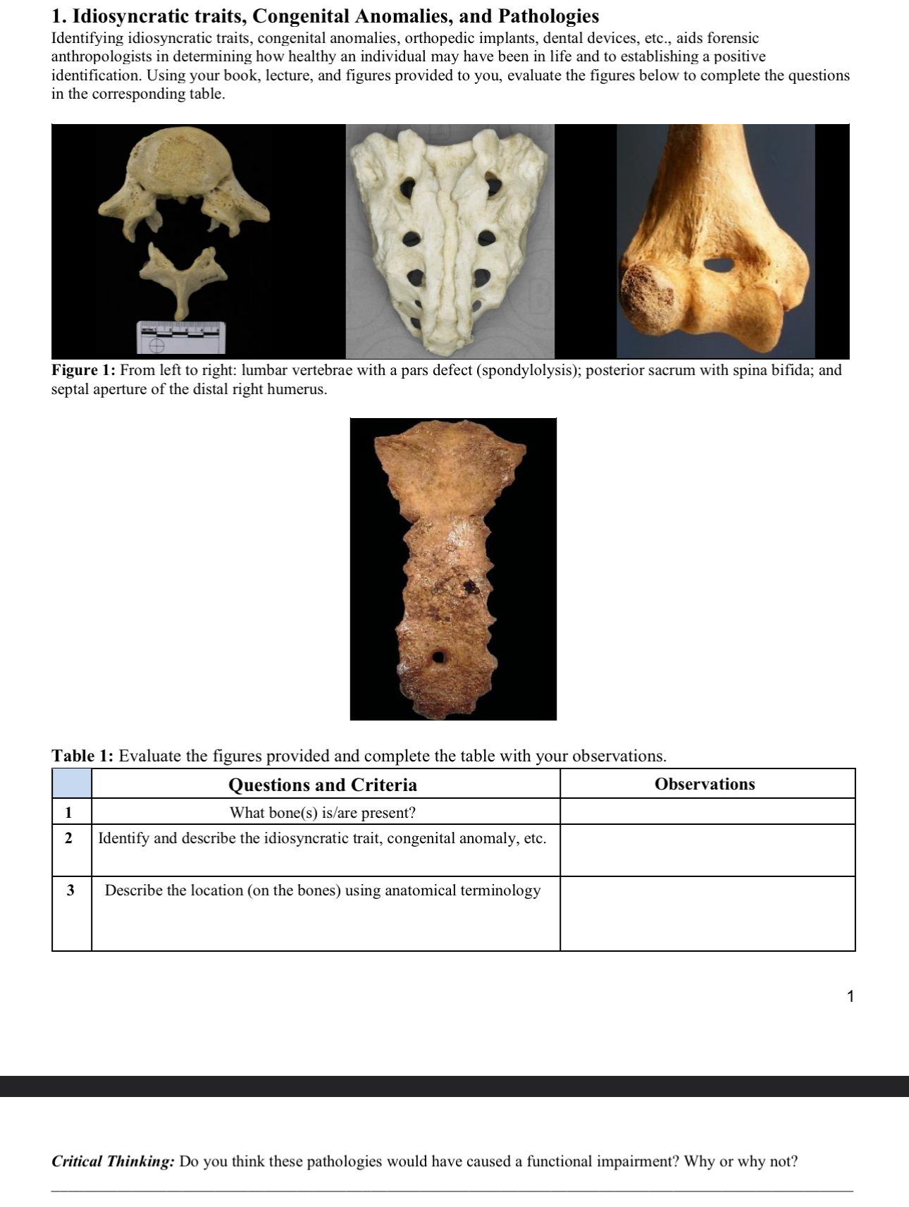 [Solved]: Idiosyncratic traits, Congenital Anomalies, and Pa