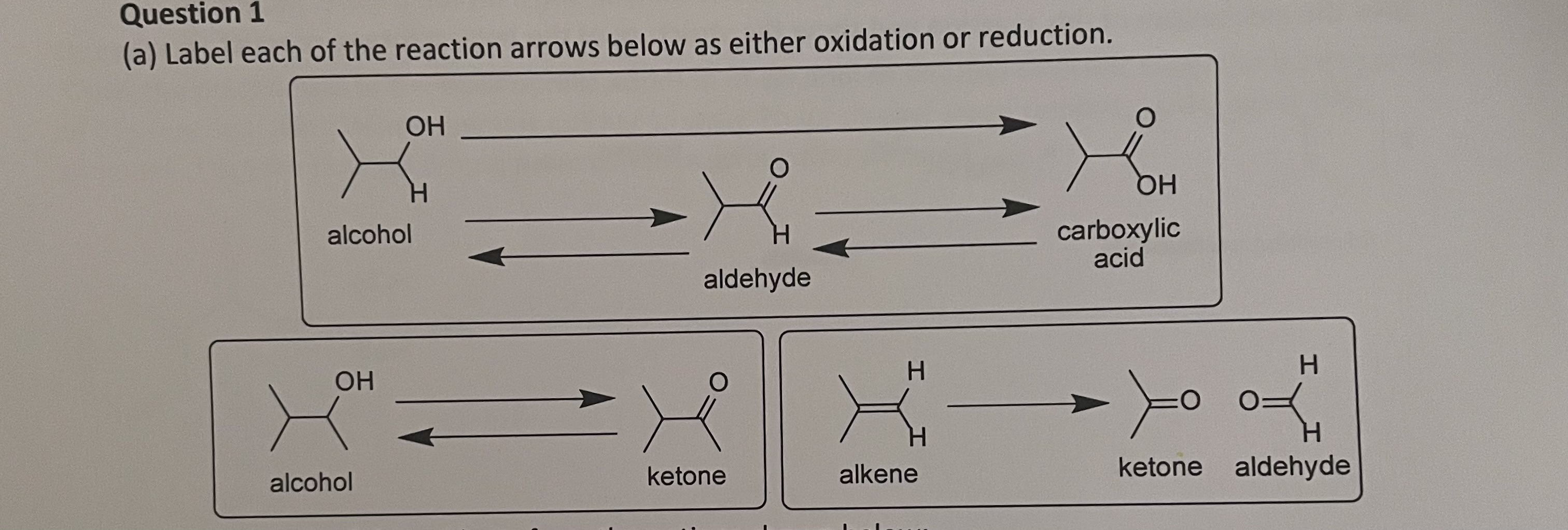 Solved Question 1(a) ﻿Label each of the reaction arrows | Chegg.com
