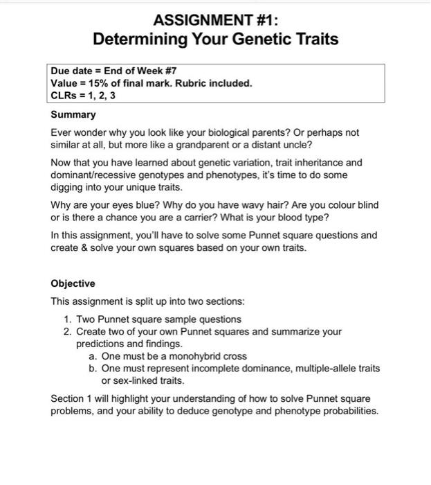 Solved ASSIGNMENT \#1: Determining Your Genetic Traits Due | Chegg.com