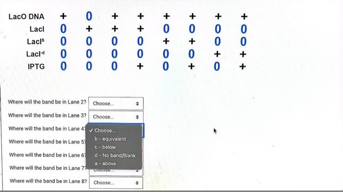 Solved You are working with three variants of Lacl: Laci. | Chegg.com