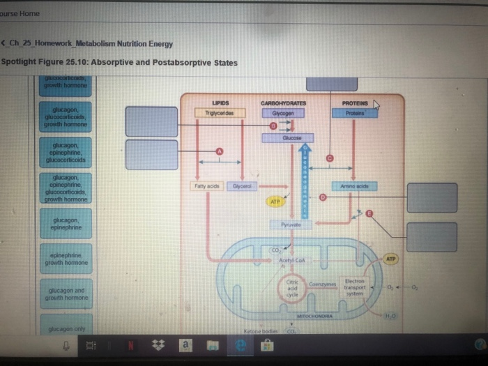 Solved ourse Home | Chegg.com
