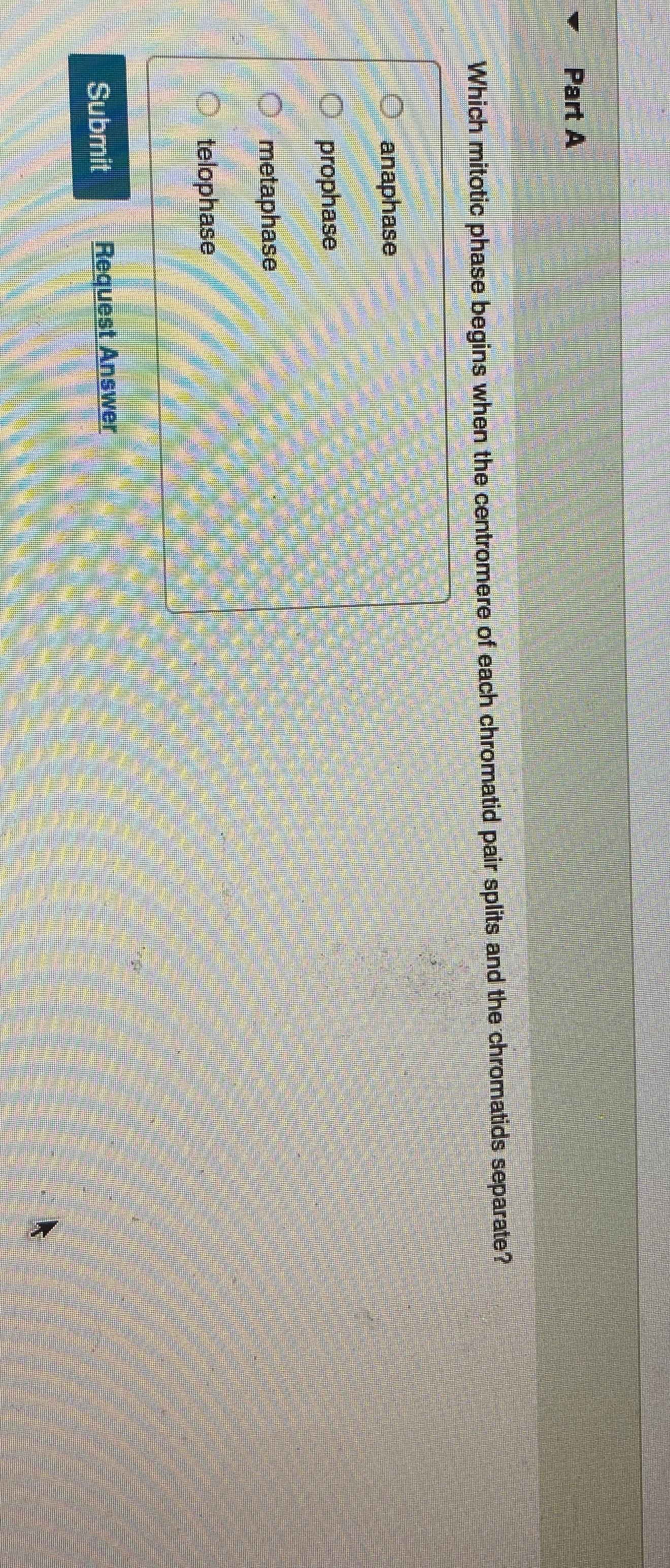 Solved Part AWhich mitotic phase begins when the centromere | Chegg.com