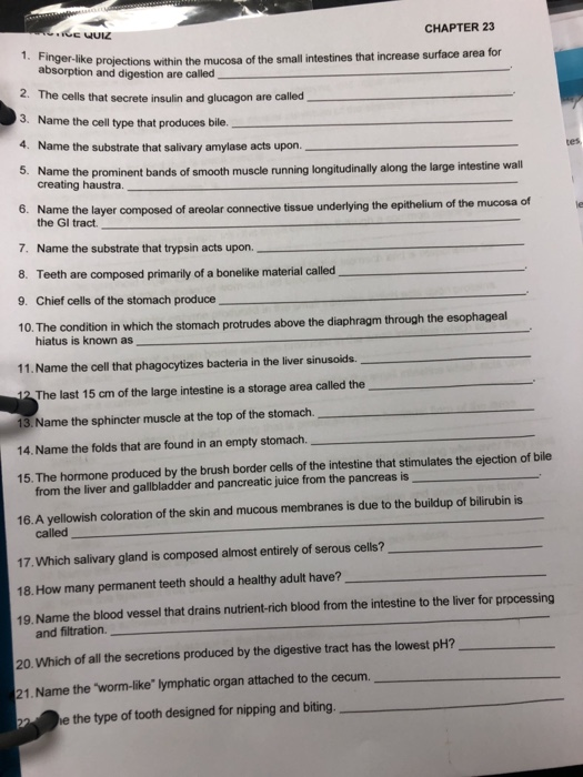 Solved ماهی CHAPTER 23 ابا Finger-like projections within | Chegg.com