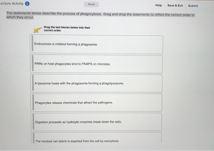 Solved Lecture Activity i Saved Help Save & Exit Submit The | Chegg.com