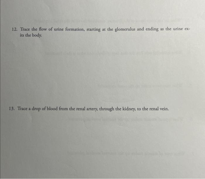 Solved 12. Trace the flow of urine formation, starting at | Chegg.com