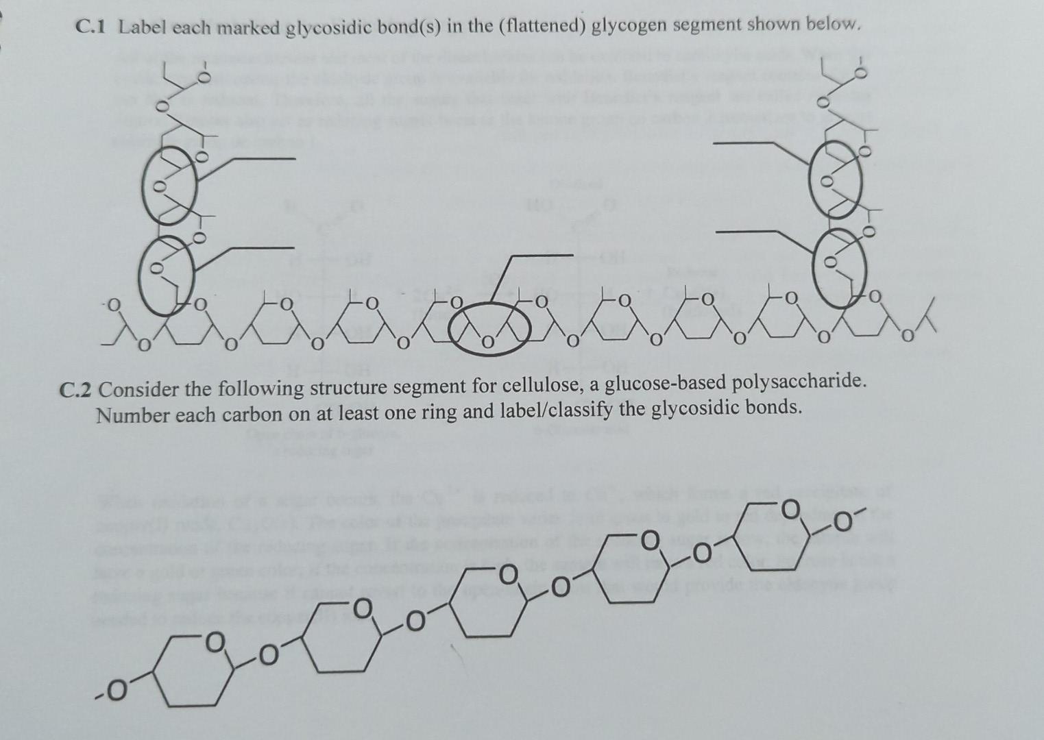 Solved C.1 Label each marked glycosidic bond(s) in the | Chegg.com