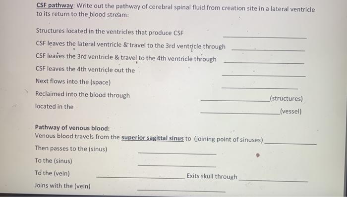 Solved CSF pathway: Write out the pathway of cerebral spinal | Chegg.com