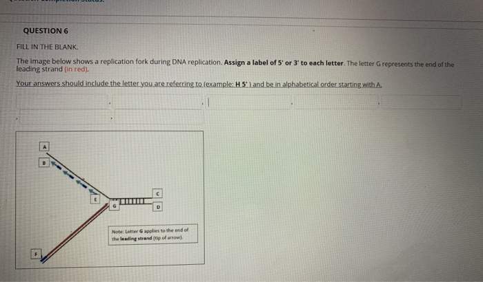 Solved QUESTION 6 FILL IN THE BLANK The image below shows a | Chegg.com