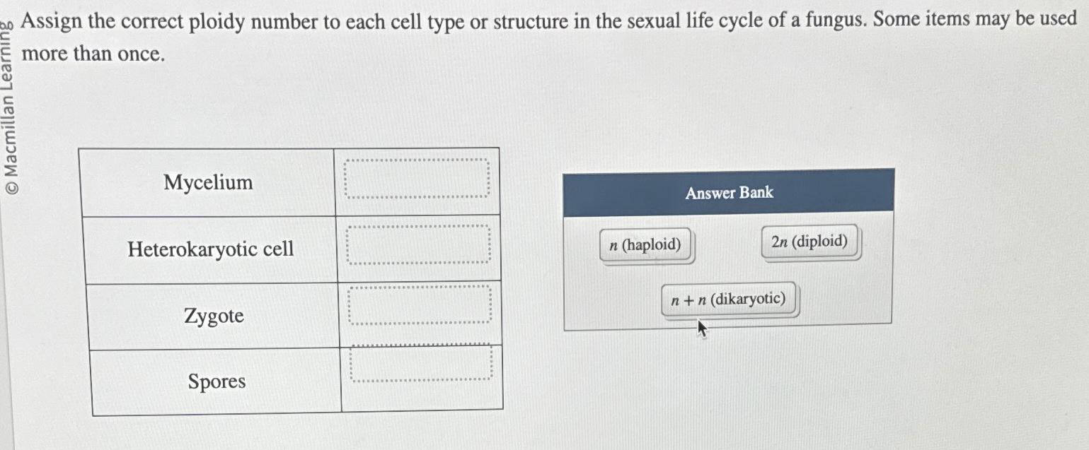 Solved Assign the correct ploidy number to each cell type or | Chegg.com