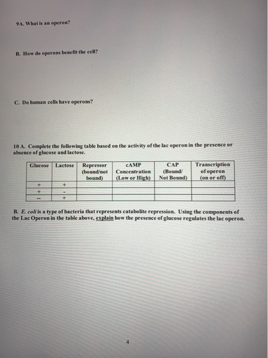 Solved 9A. What is an operon? B. How do operons benefit the | Chegg.com
