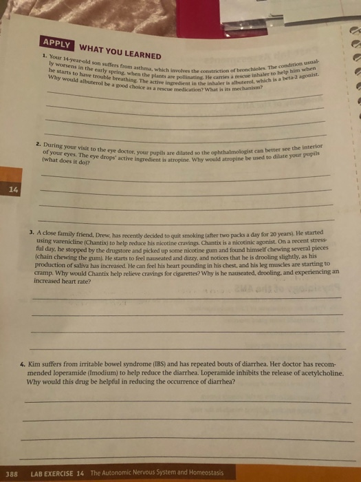 Solved Post-lab Assessments CHECK WHAT YOU LEARNED Post-lab | Chegg.com