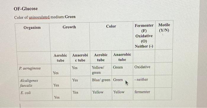 Solved OF-Glucose Color of uningculated medium Green | Chegg.com