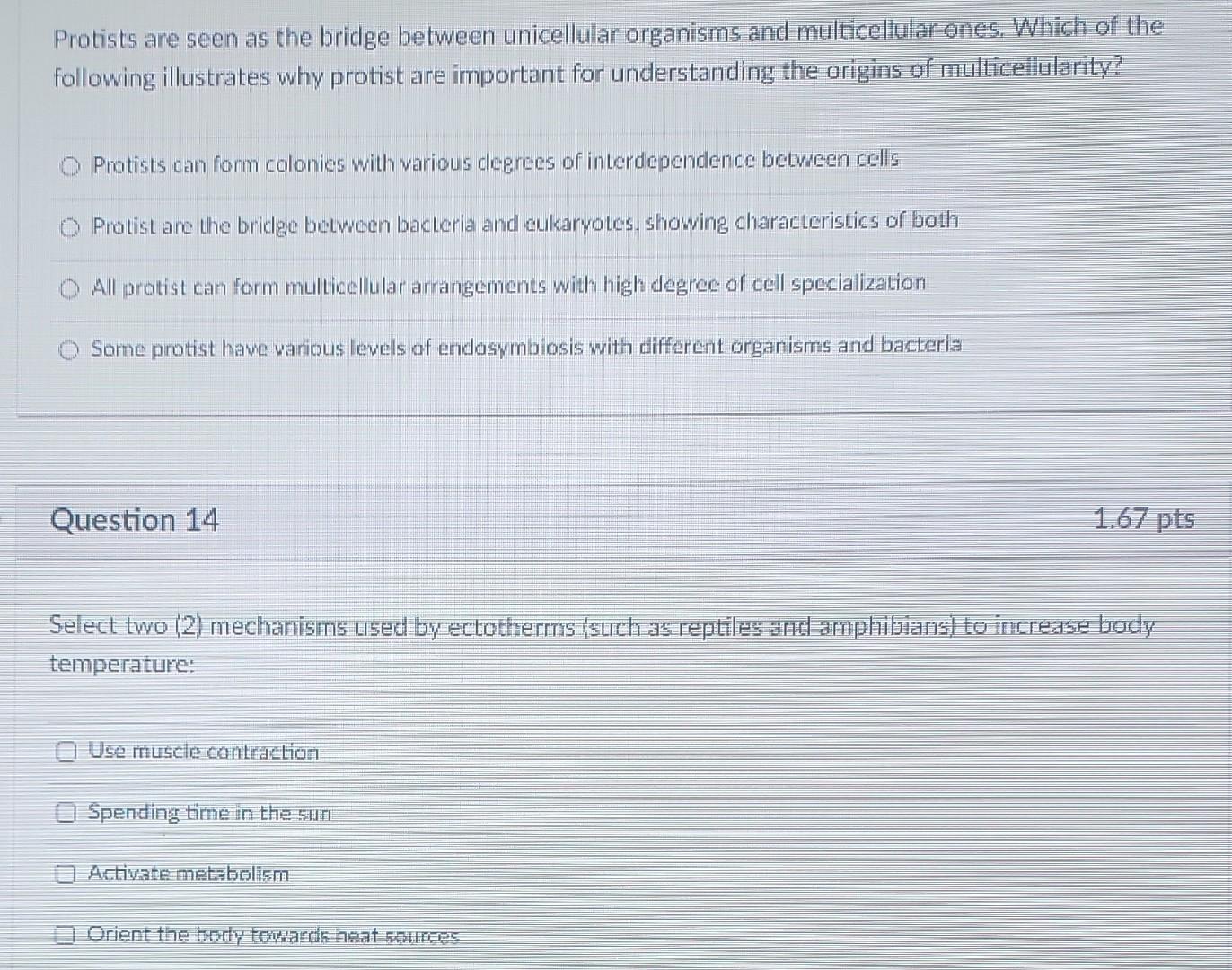 Solved Protists are seen as the bridge between unicellular | Chegg.com
