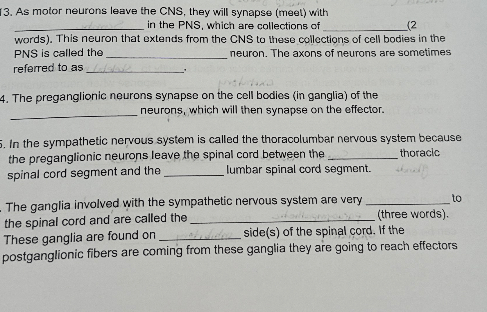 Solved As motor neurons leave the CNS, ﻿they will synapse | Chegg.com