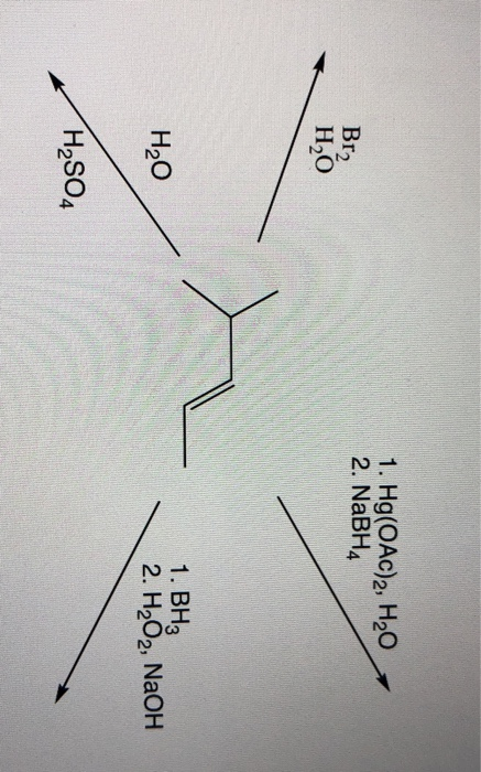 Solved 1. Hg(OAc)2, H2O 2. NaBH4 Br2 HO 1. BH3 H2O 2. H2O2, | Chegg.com