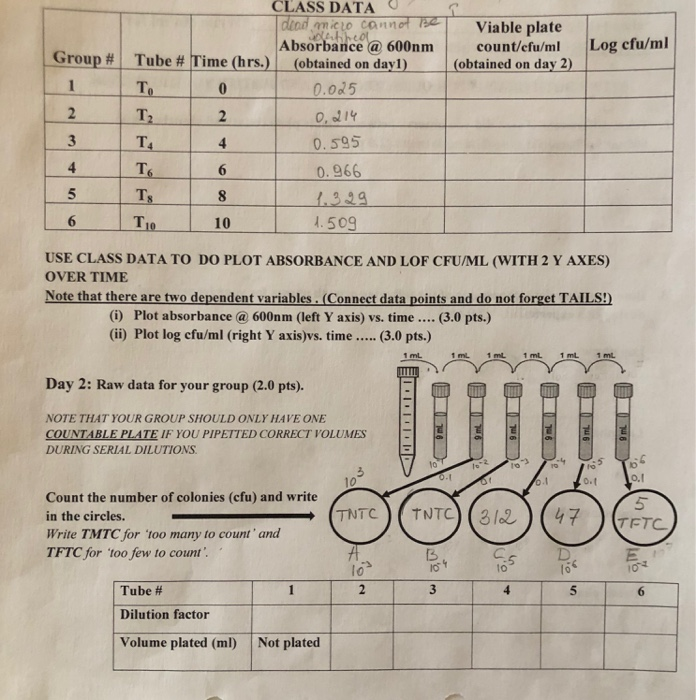 Solved Viable plate count/cfu/ml (obtained on day 2) Log | Chegg.com