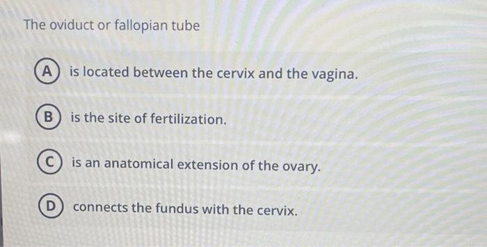 Solved The oviduct or fallopian tube is located between the | Chegg.com